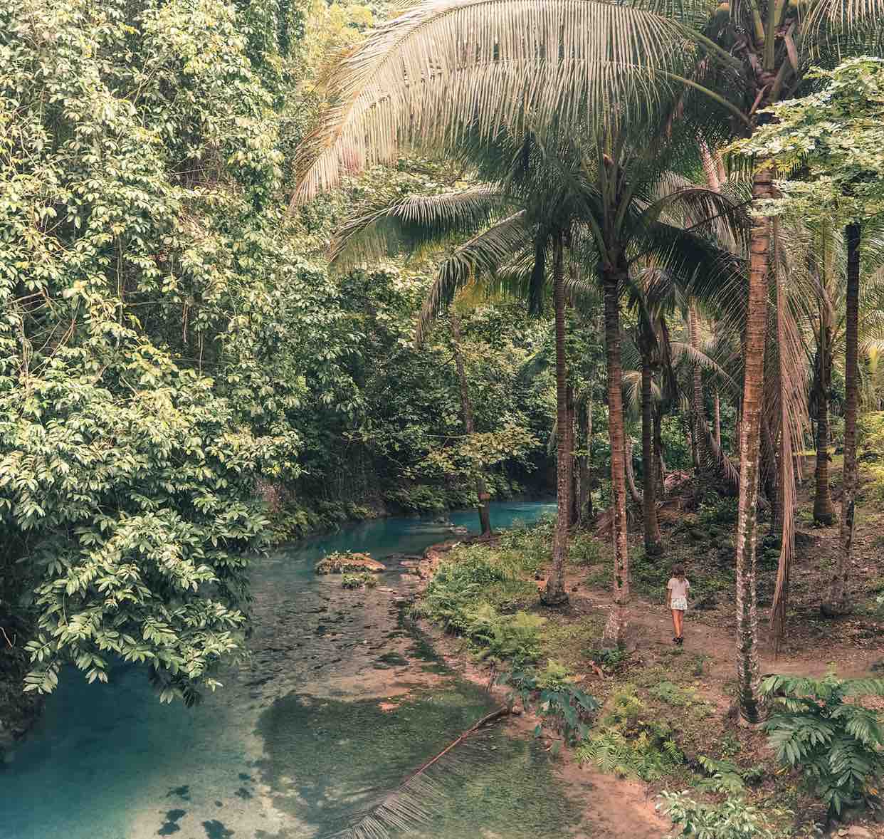 THE BEST GUIDE TO MOALBOAL, PHILIPPINES. - Mumpack Travel